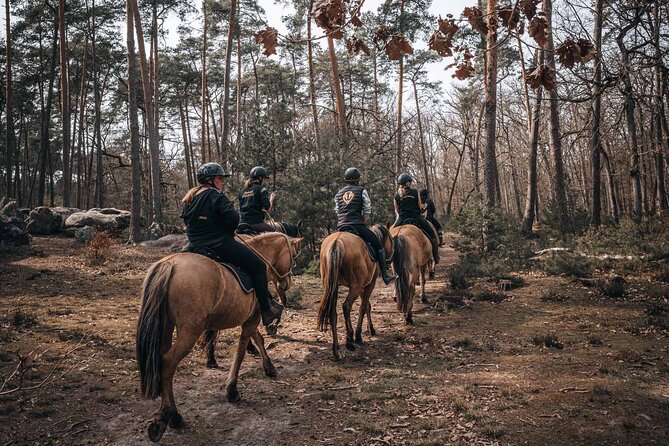 Day Trip to Fontainebleau : Horse Riding, Gastronomy and Castle - Horse Riding Adventure in the Forest