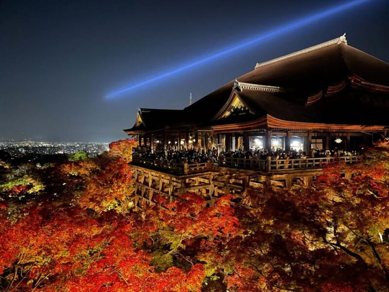 Discover the Highlights in Kyoto & Nara in 3 DAYS ! - Day 2 Itinerary