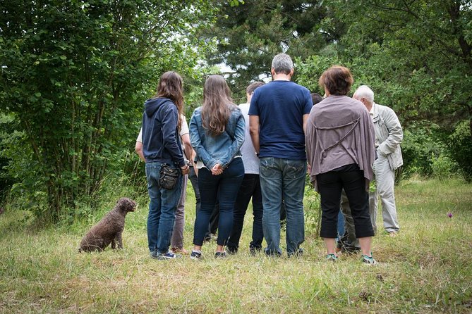 Discovery of the World of Truffles and Tasting - Understanding the Accessibility and Duration of the Experience