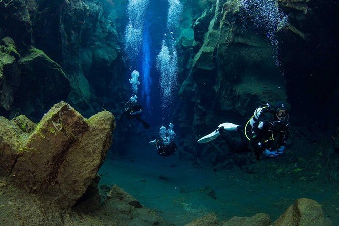 Dive the Divide: Silfra Fissure Review - Pickup and Transportation Details