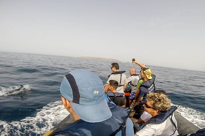 Dolphin Route - Key Information on Tour Timing and Pricing