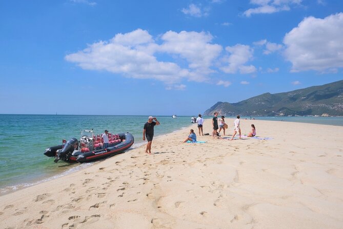 Dolphin Watching in Setúbal - Accessibility and Participation Considerations