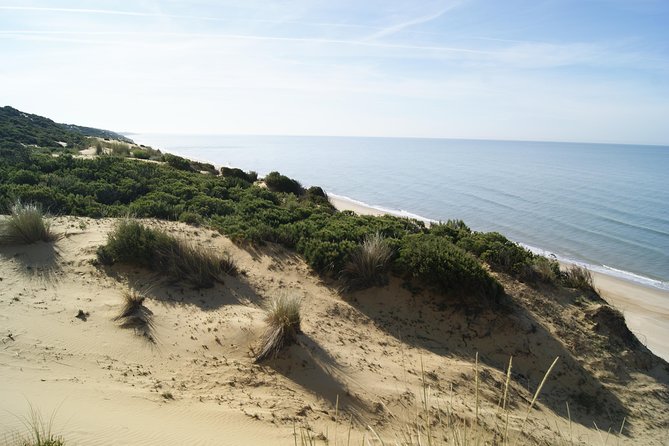 Doñana National Park in 4x4 and El Rocío - Wildlife Spotting in the Park