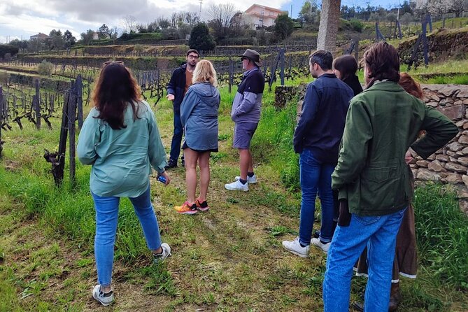 Douro Tour With Wine Tasting, River Cruise and Visit to Lamego - Discover Family-Owned Wineries