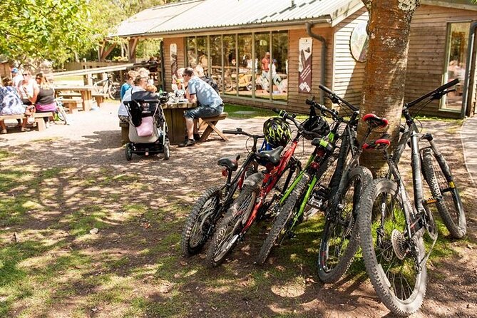E-Bike Half-Day Trip to Harrys Rock or Corfé Castle - Meeting and Pickup Information