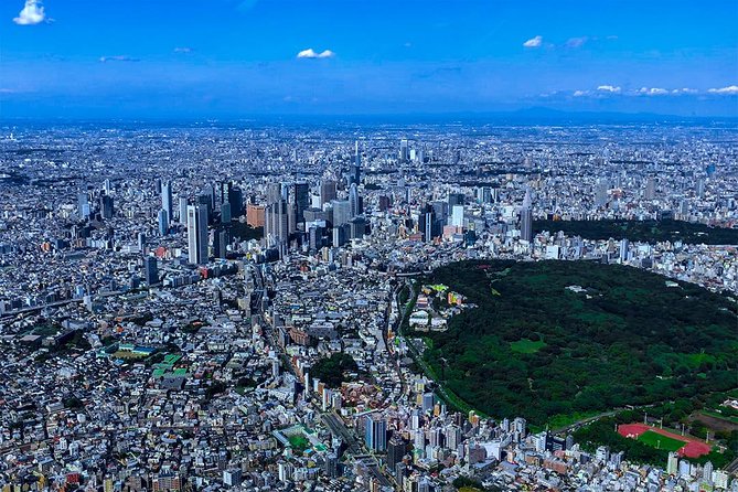 【75 Mins】 Tokyo-Mt.Fuji Tour: Mt. Fuji Helicopter Tour - Pricing and Reviews