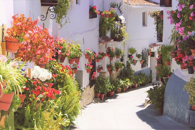 El Saltillo Gorge and White Village Hiking Tour From Malaga - Pricing and Booking Information