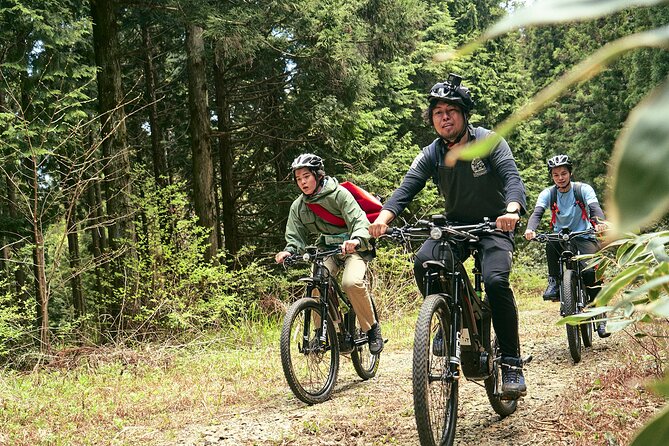 Emtb Tour to See the Beautiful Islands From the Summit - Health and Safety Information