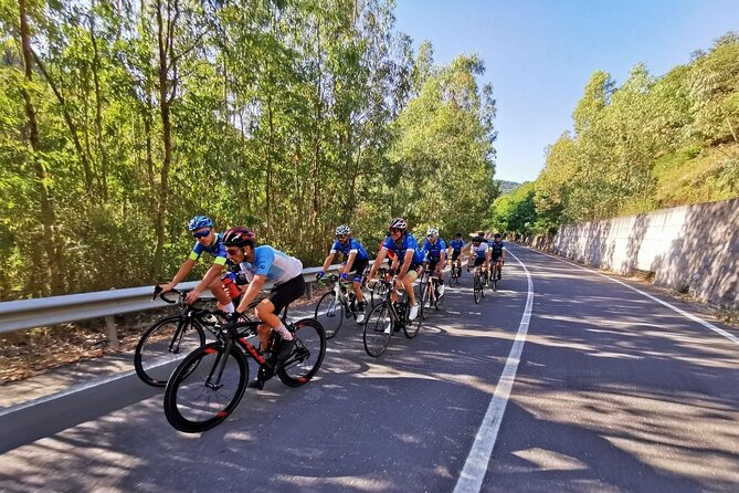 Etna Bike Tour - Cycling in Sicily - Traversing the Mount Etna Wine Road