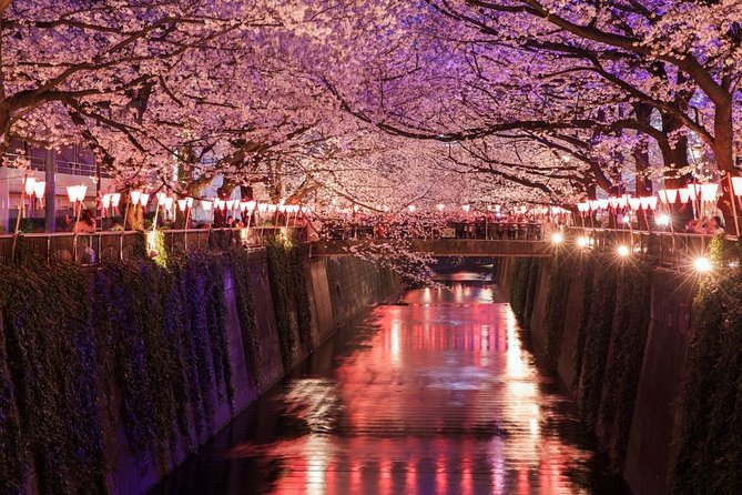 Evening Hanami (Cherry Blossom) Experience With a Local - Included Experiences and Offerings
