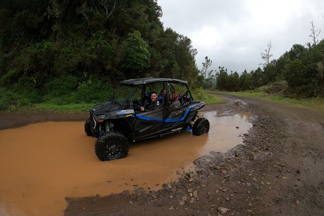 Exclusive Private Buggy Adventure: Forest and Mountains - Meeting and Pickup Logistics