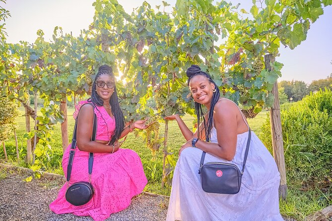 Exclusive Winery Tour With Tasting and Dinner in Chianti Vineyard - Culinary Delights: Tuscan Dinner