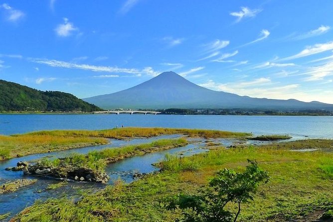 Experience the Stunning Nature of Mt.Fuji - Private Tour - Health and Accessibility Information