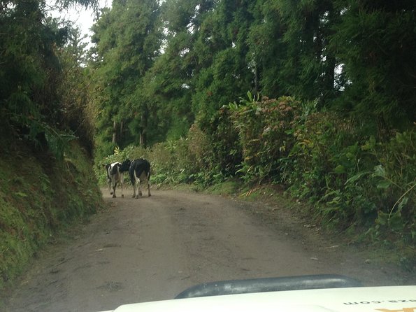 Explore the Wonders of Sete Cidades & West Side on a Jeep Tour - Exploring Off-the-Beaten-Path Landmarks and Natural Wonders