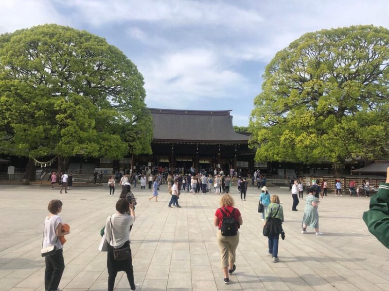 Explore Tokyo Your Way: 5h Private Customizable Walking Tour - Tour Customization