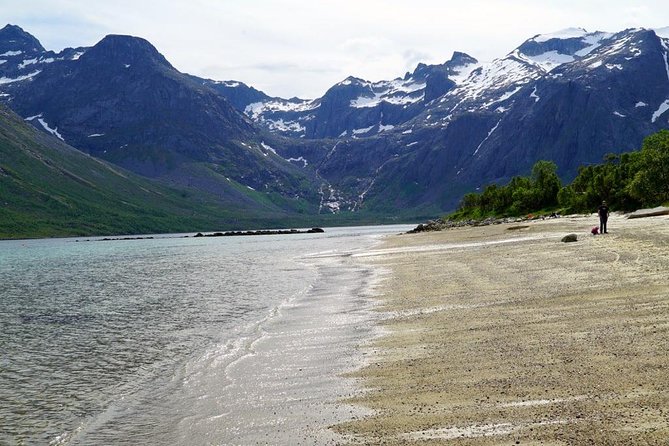 Fjord Sightseeing - Eco Friendly Tesla Model X - Curated Comfort and Convenience
