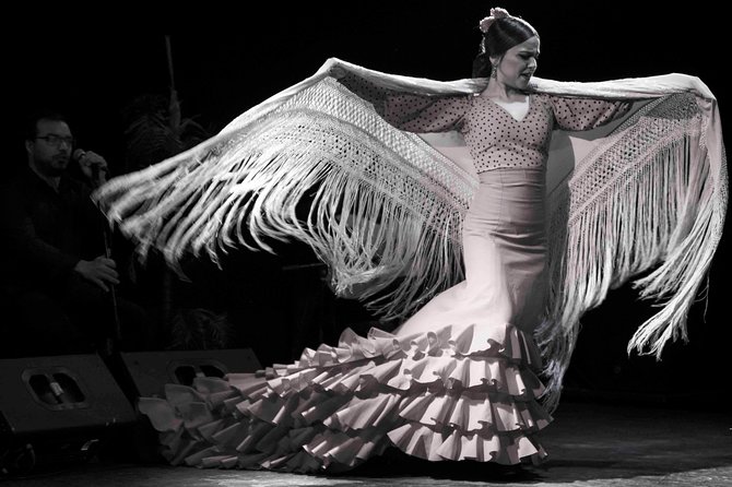Flamenco Show Ticket at Theatre Barcelona City Hall - Audience Feedback