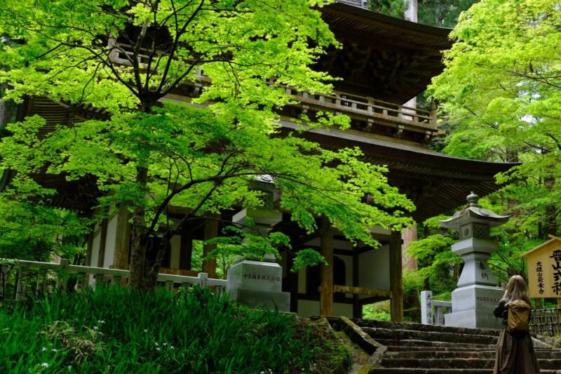Fm Odawara: Forest Bathing and Onsen With Healing Power - Group Size and Language