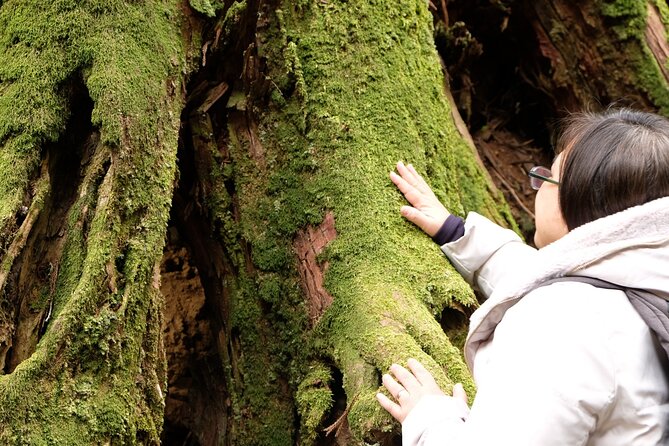 Forest Bathing in Temple and Enjoy Onsen With Healing Power - Discovering the Temple Grounds