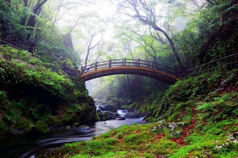 From Fukuoka: Day Trip to Miyazaki Takachiho Gorge & Shrine - Kamishikimi Kumanoza Shrine
