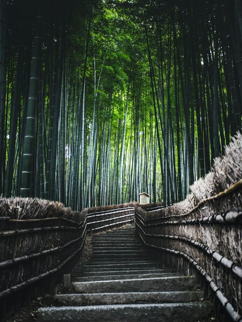 FROM Kyoto/Nara: Highlight Customized Trip With Hotel Pickup - Curated Itinerary Options