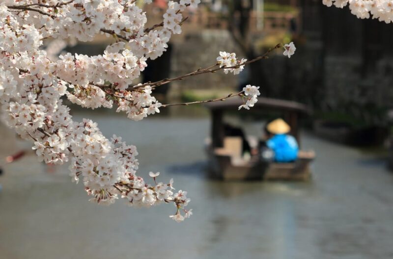 From Nagoya: Castles and Canals in Hikone and Omi Hachiman - Inclusions and Experience