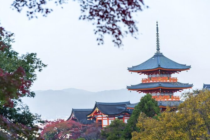 From Osaka: 10-hour Private Custom Tour to Kyoto - Customer Reviews and Feedback
