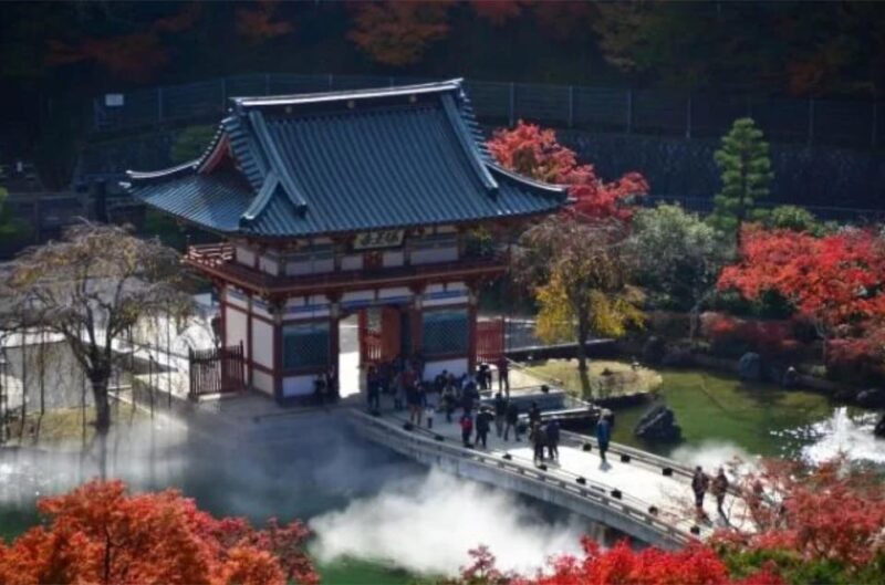 From Osaka/Kyoto : Private Osaka Day Trip W/Pickup & Dropoff - Dining Experience