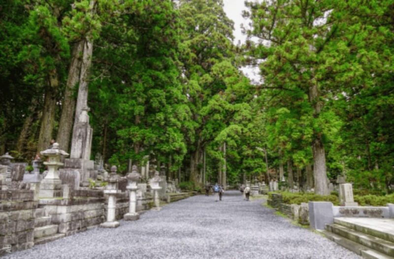 From Osaka/Kyoto:Mount Koya, Wakayama & Nachi Waterfall Trip - Without Nachi Waterfall
