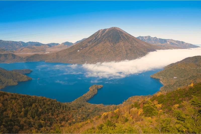 From Tokyo: Full-Day Private Nikko Highlights Tour - Pickup and Transportation