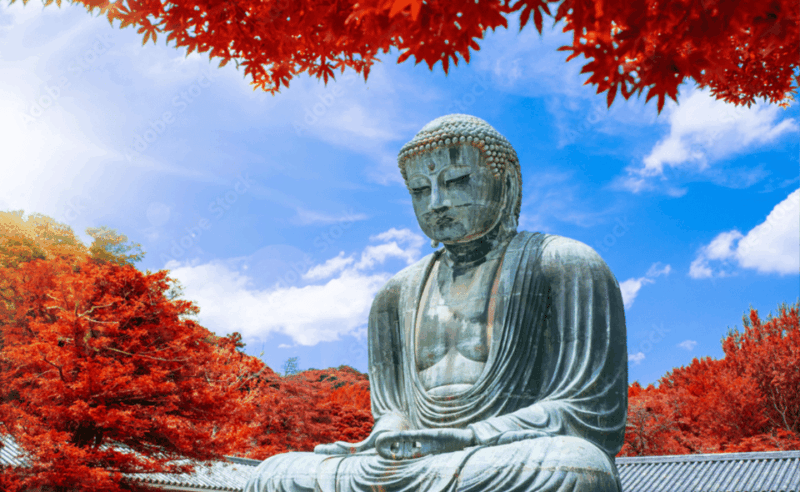 From Tokyo: Kamakura, Hachimangu, Enoshima Private Day Trip. - Tsurugaoka Hachimangu Shrine