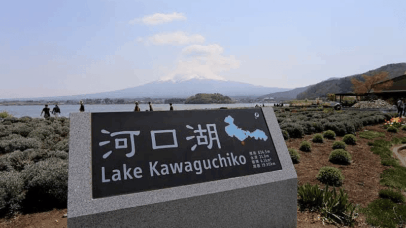 From Tokyo: Mount Fuji And Hakone Private Full Day Trip - Transportation and Accessibility