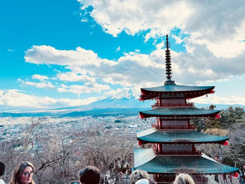 From Tokyo: Mount Fuji Full-Day Tour-English Speaking Driver - Transportation Details