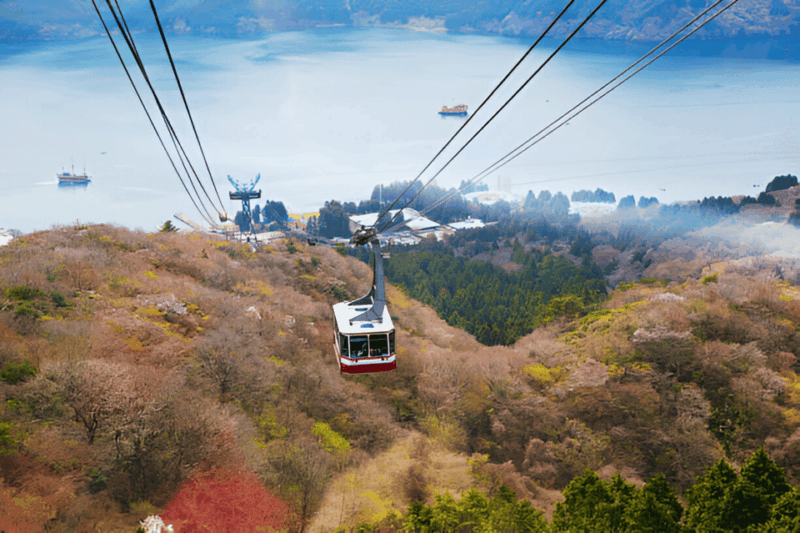 From Tokyo: Mount Fuji or Hakone Customized Day Trip - Itinerary B: Hakone Serenity