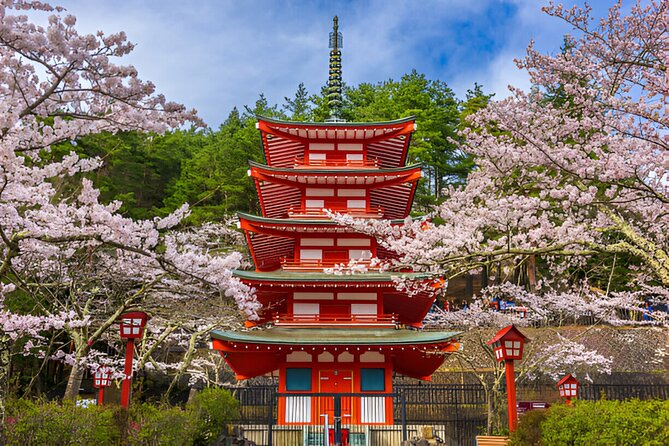 From Tokyo: Mt Fuji and Hakone Private Day Trip - Exploring Mount Fuji