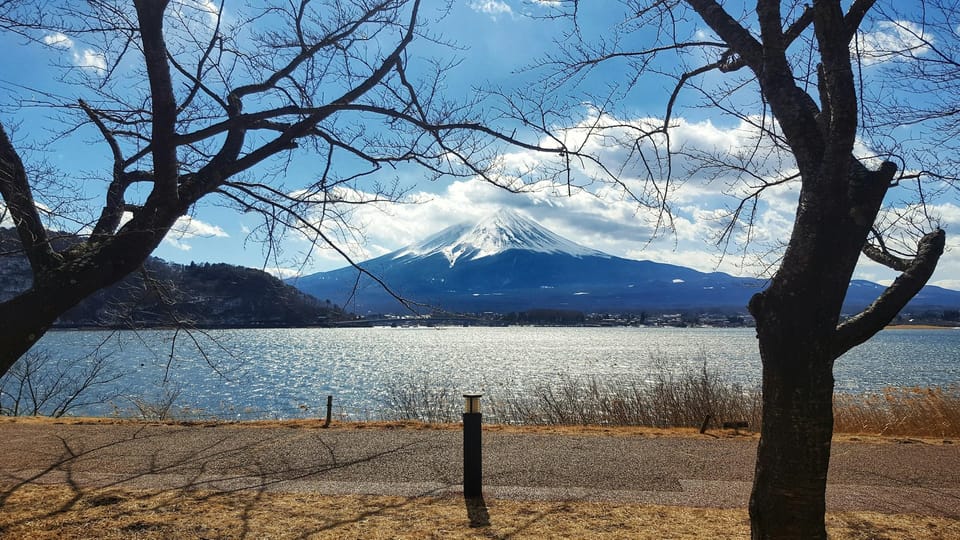 From Tokyo: Mt. Fuji or Hakone Sightseeing Private Day Tour - Enjoying the Scenic Views Around Lake Kawaguchiko