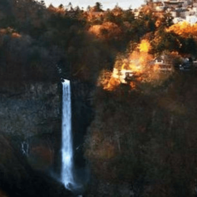 From Tokyo; Nikko Private Full Day Tour Hotel Pick-Up By Car - Pickup and Drop-off Information