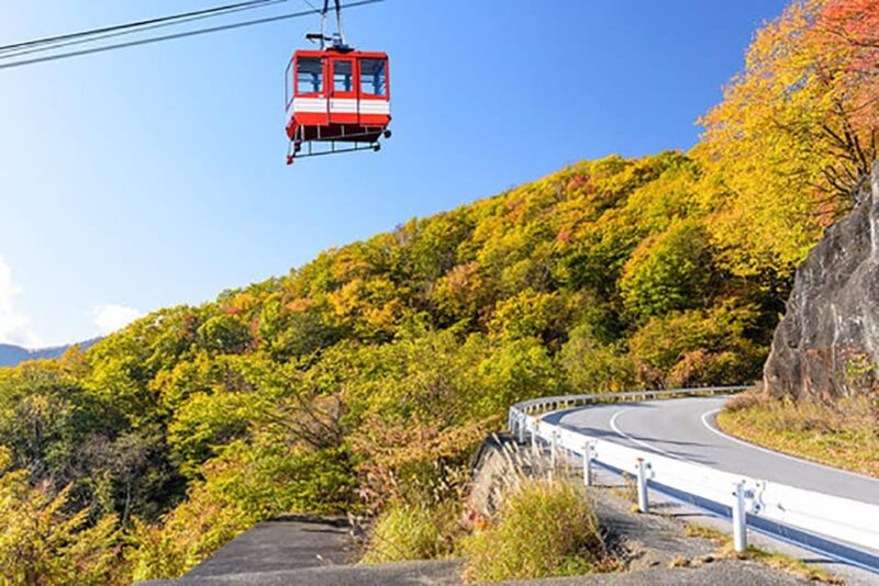 From Tokyo: Nikko Private Tour With English-Speaking Guide - Guided Experience