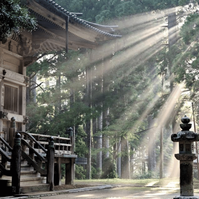 From Tokyo: Nikko Unesco Fully Customised Private Car Tour - Included Services