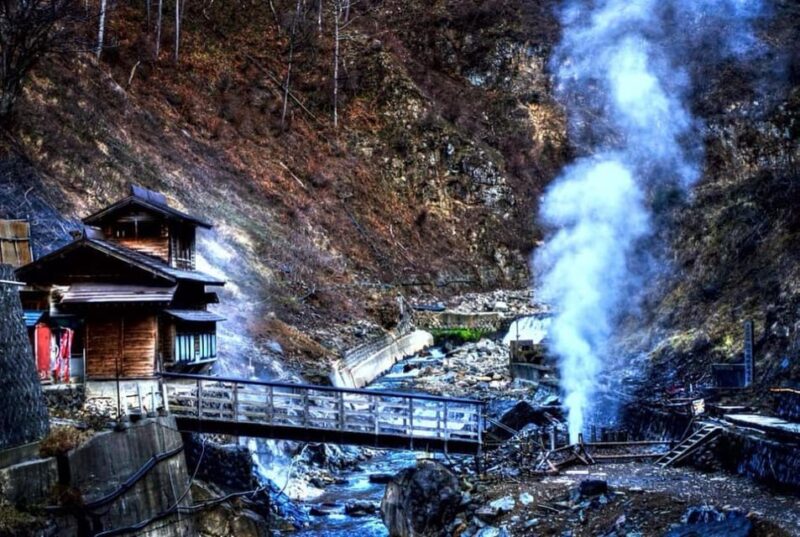 From Tokyo: Snow Monkey & Zenkoji Temple Private Tour - Jigokudani Snow Monkey Park