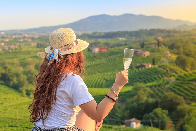 From Venice Wine and Food Tour Review - Winery Visits
