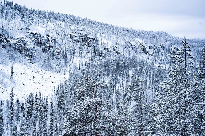 Frozen Waterfalls in Korouoma Canyon Adventure - Navigating the Challenging Trail Conditions