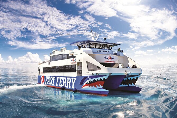 Fuerteventura at Your Leisure( Bus Transfer and Return Ferry Ticket) - Important Considerations