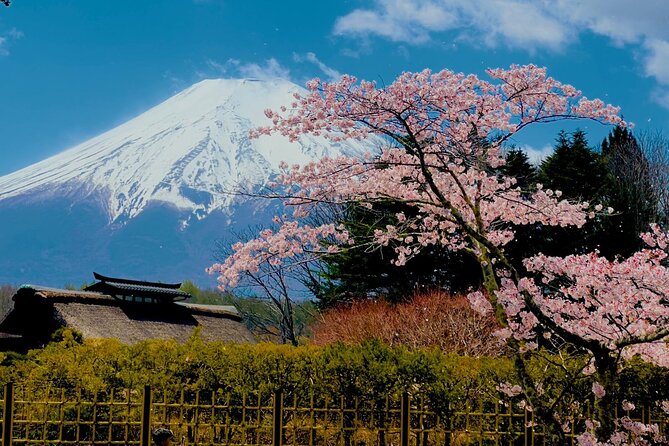 Fuji Hakone Cherry Blossom Private Tour - Meeting and Pickup