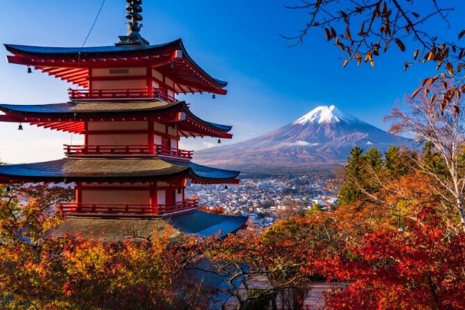 Fuji Speedway Self Drive & Mt. Fuji Private Tour Pickup on LEXUS - Experience Highlights