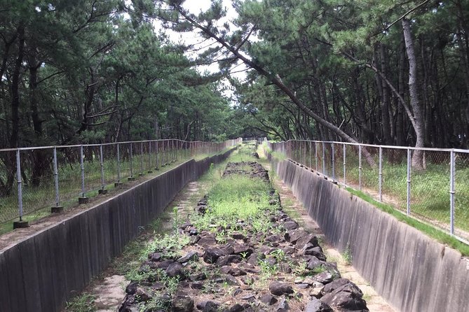 Fukuoka Nature and Cultural Sightseeing Tour - Tour Requirements