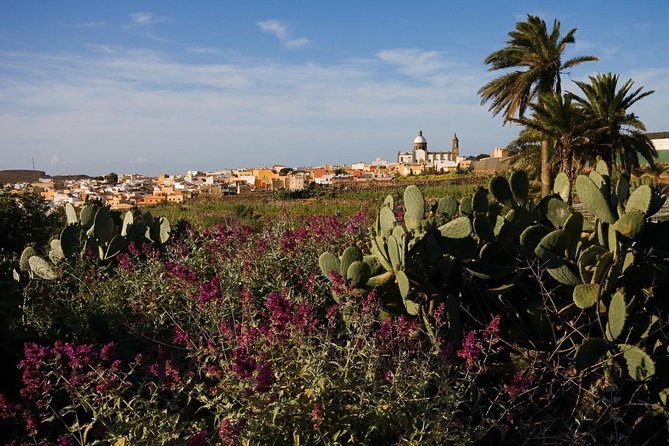 Full-Day Gran Canaria Island Tour - Cumbres - Accessibility Information
