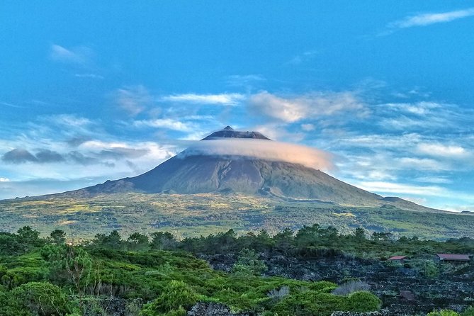 Full-Day Guided Tour in Pico Island - Meeting Details