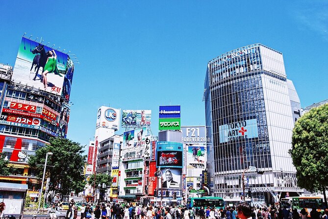 Full-Day Private Guided Tour in Tokyo - Accessibility and Recommendations