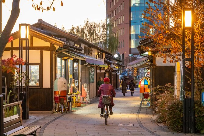 Full-Day Private Nikko Tour From Tokyo Wd English Speaking Driver - Pricing and Availability